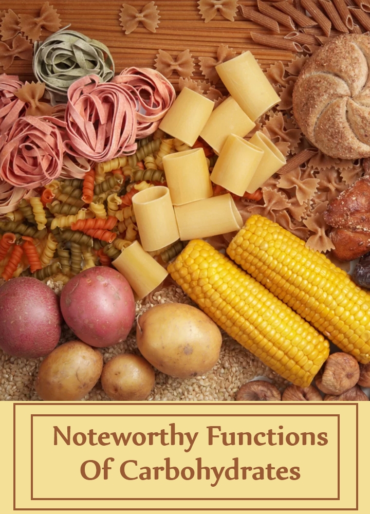 7 Noteworthy Functions Of Carbohydrates Natural Home Remedies And Supplements